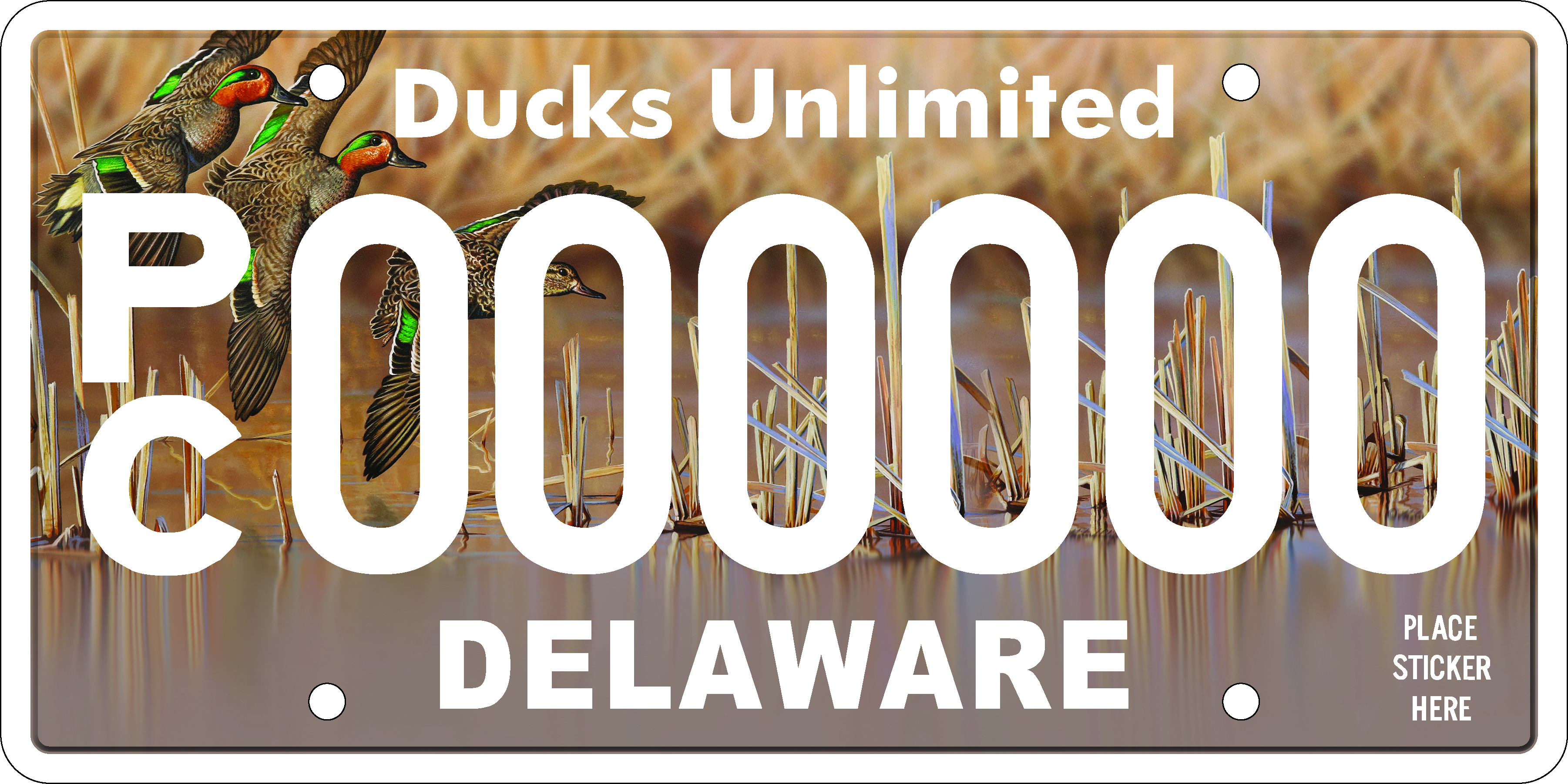 Specialty Plates - Division of Motor Vehicles